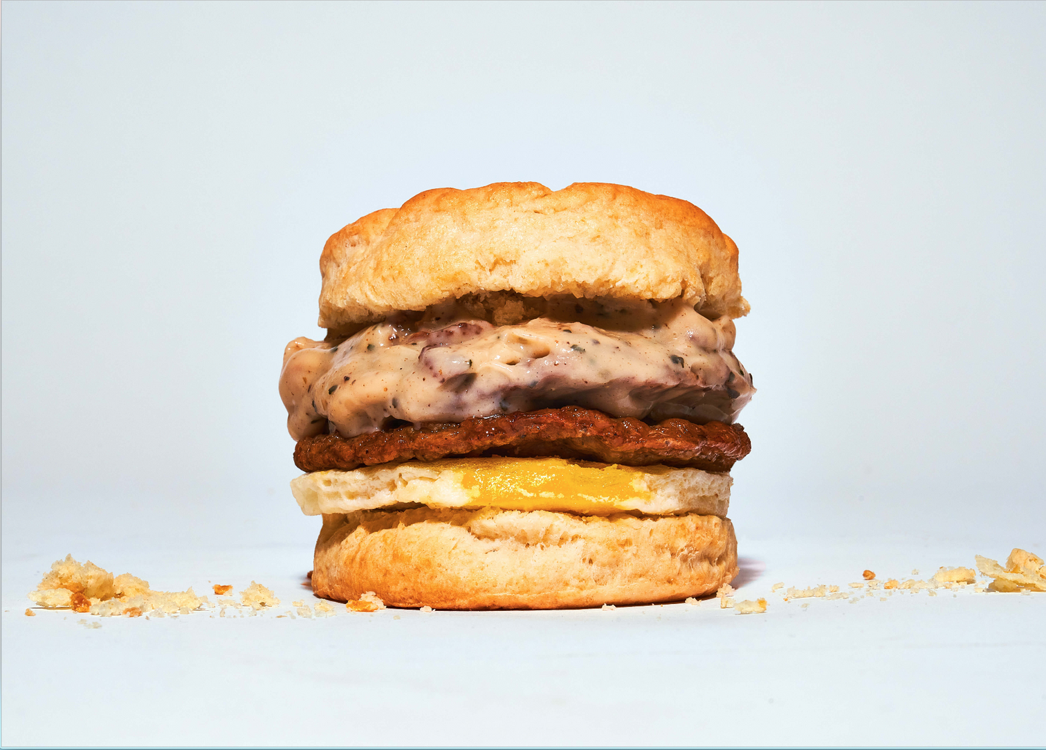 Chocolate Chip Scone Ice Cream Sandwich – Mason Dixie Foods